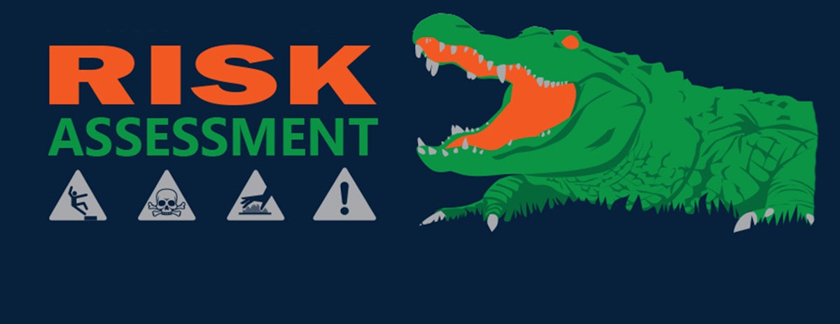 Infographic: Risk Assessment Process | IMPO